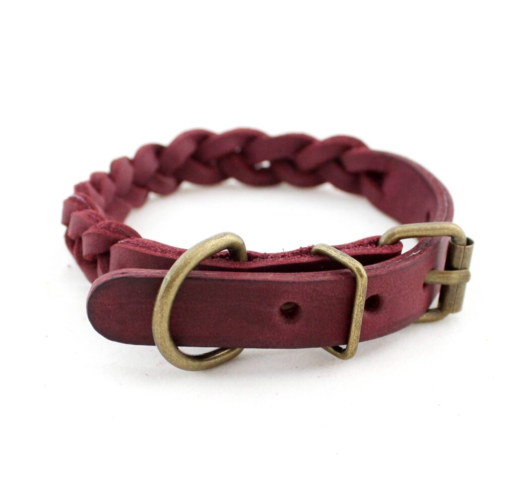 Small dog braid collar | Anger Refuge